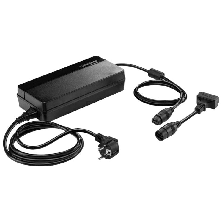 Giant Electische Fiets Energypak L-type Smart Charger Lader (GLI180AA ...